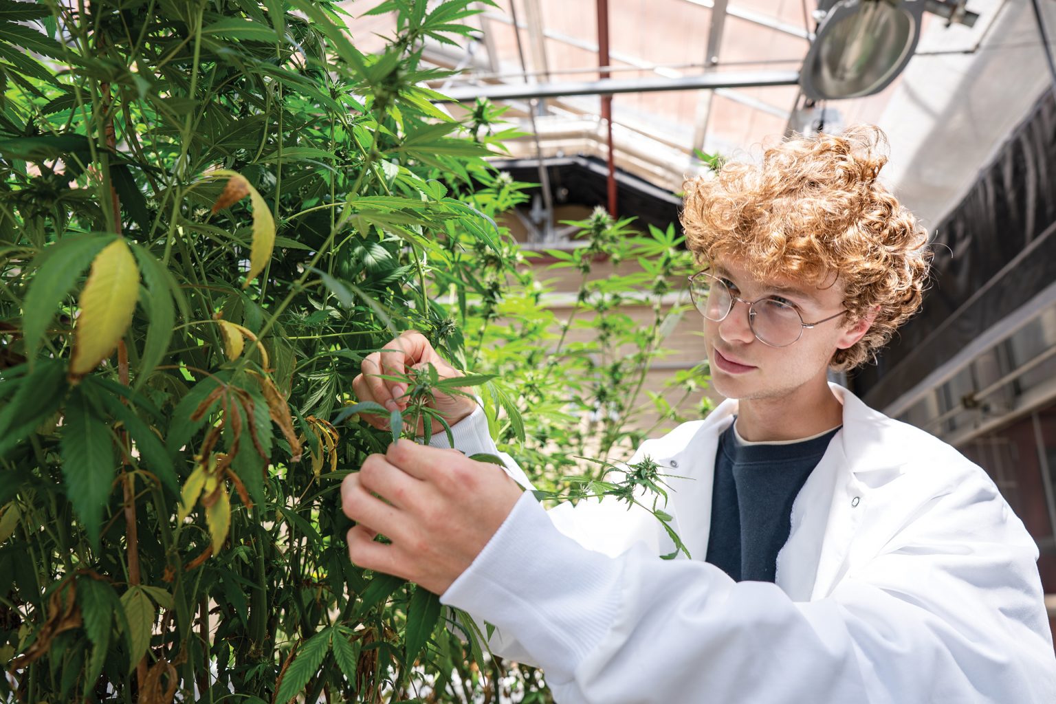 Plant Science | Department of Plant Science and Landscape Architecture ...