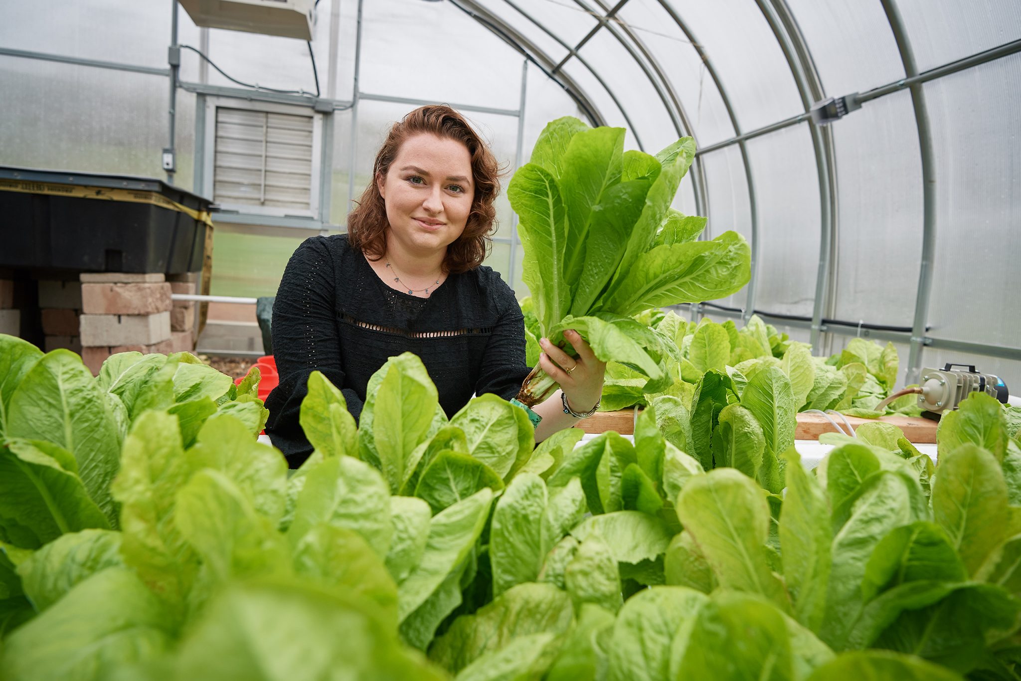 Greenhouses | Department of Plant Science and Landscape Architecture ...